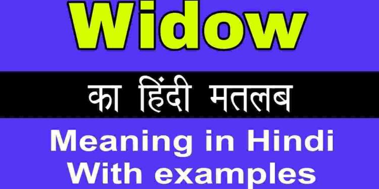 Widow meaning in hindi and 5 examples - tfipost.in
