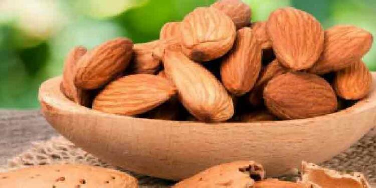Almond in Hindi Advantages and Disadvantages - tfipost.in