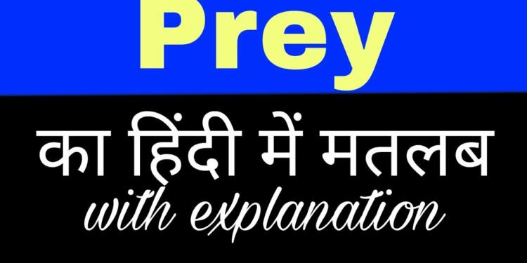 Prey meaning in hindi: synonym and 6 examples - tfipost.in