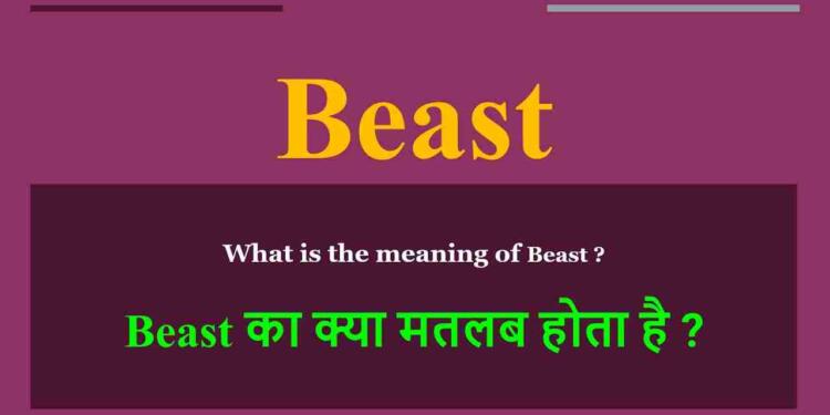 Beast Meaning in Hindi : Synonym and 7 Example - tfipost.in