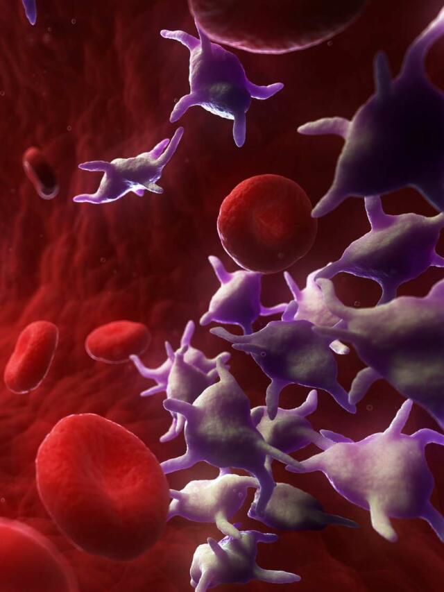 List of 9 Vegetarian Foods That Can Help Increase Platelet Counts ...